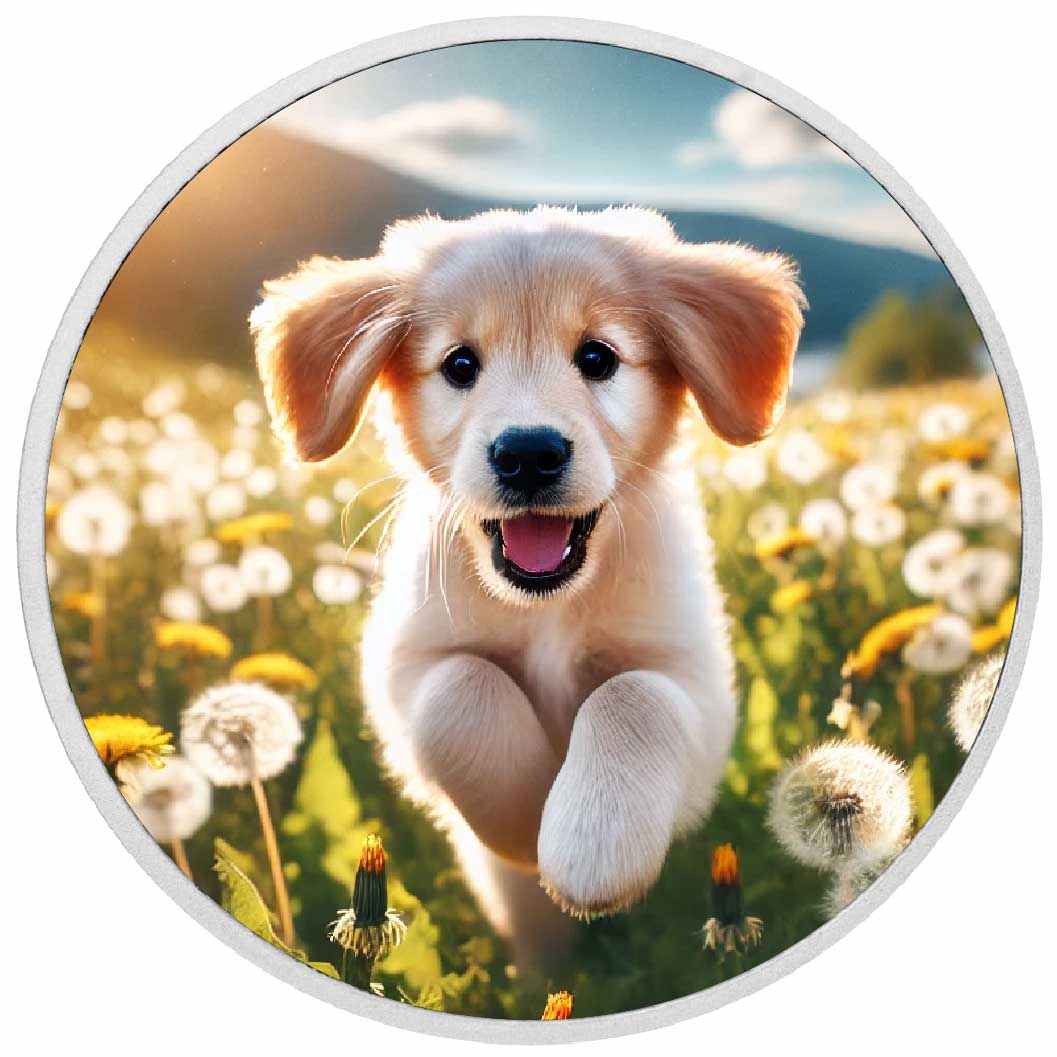 Field of Joy 1oz Silver Coloured Coin – Arverni Mint