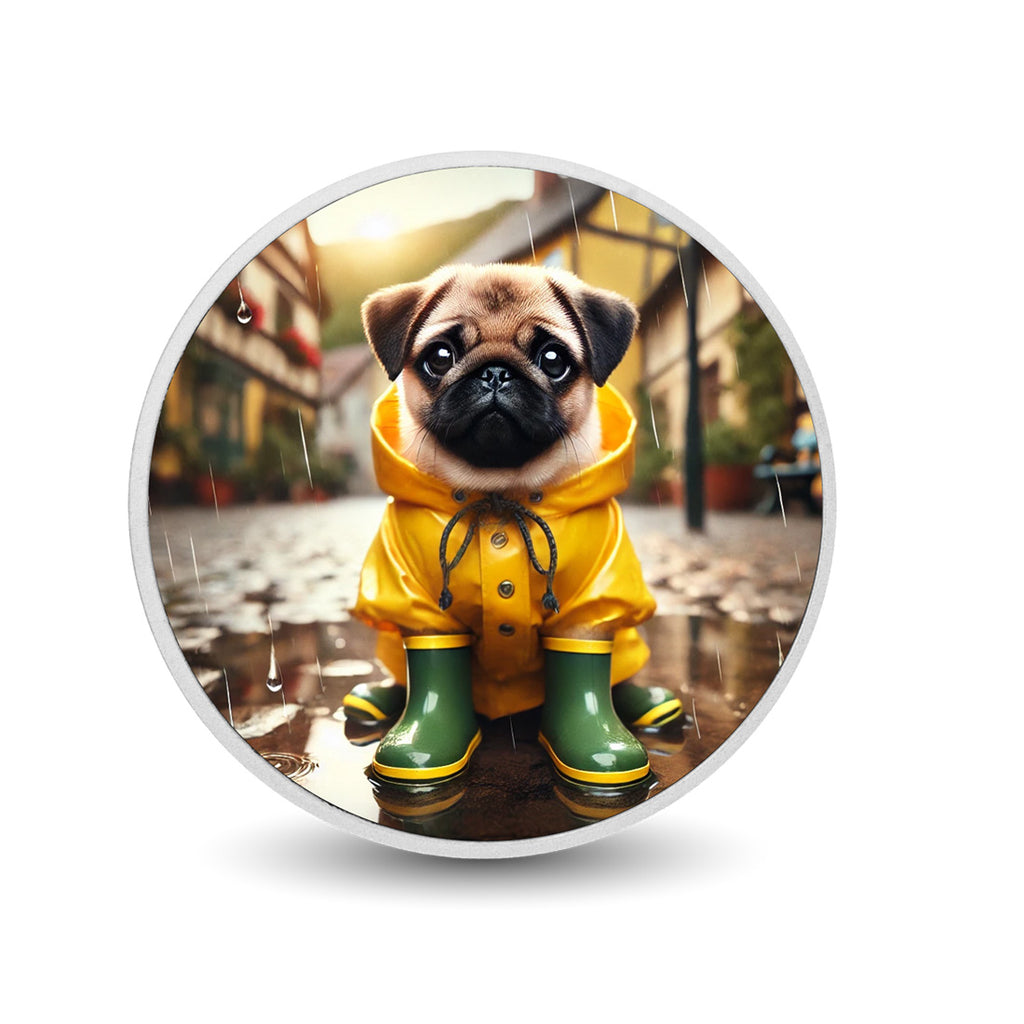Puddle-Ready Pug 1oz Silver Coloured Coin – Arverni Mint